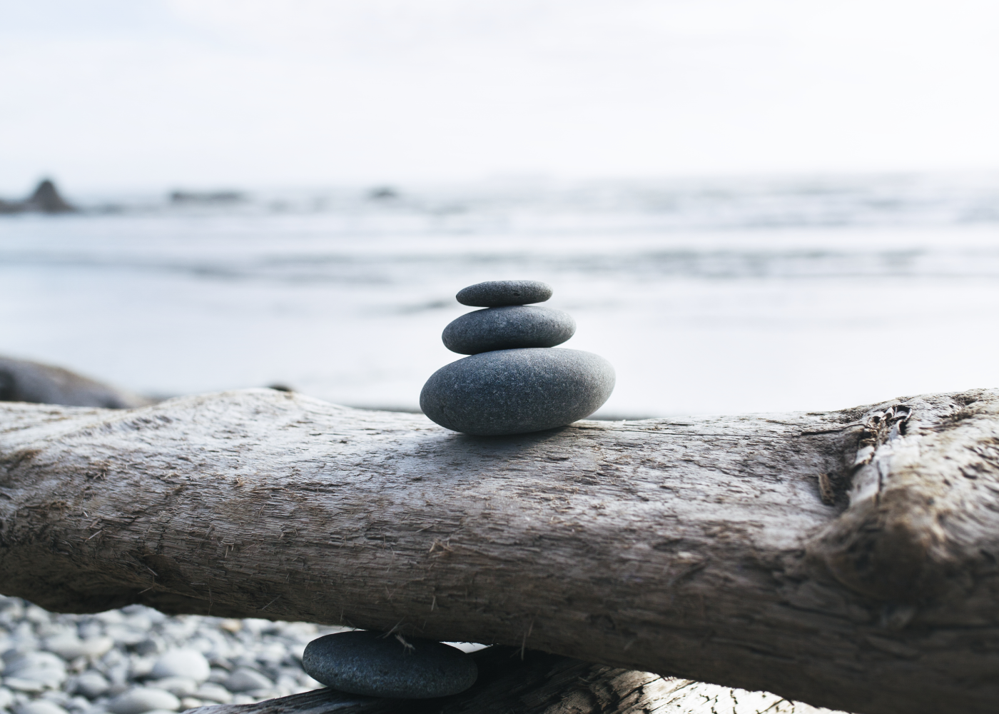 Optimizing the balanced portfolio in an uncertain world - PenderFund ...